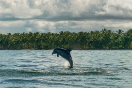 From Mermaids to Lougawou: Uncover Haitian Folklore · Visit Haiti